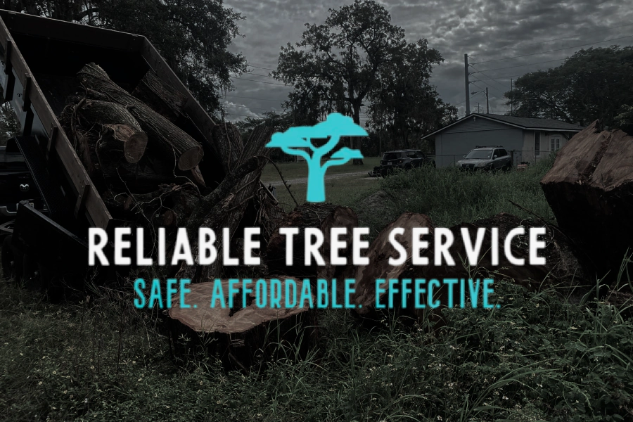 Tree Services Merritt Island, FL | 10% Veteran Discount